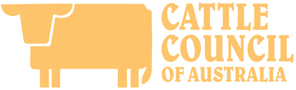 Contact - Immune Ready