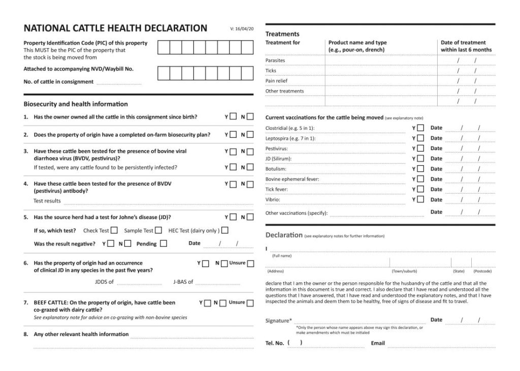 Declared Ready - Immune Ready