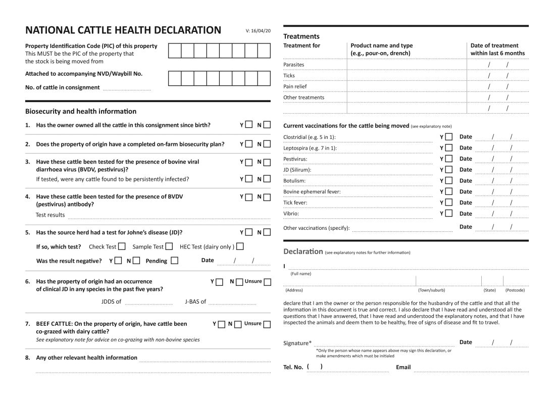 Declared Ready - Immune Ready